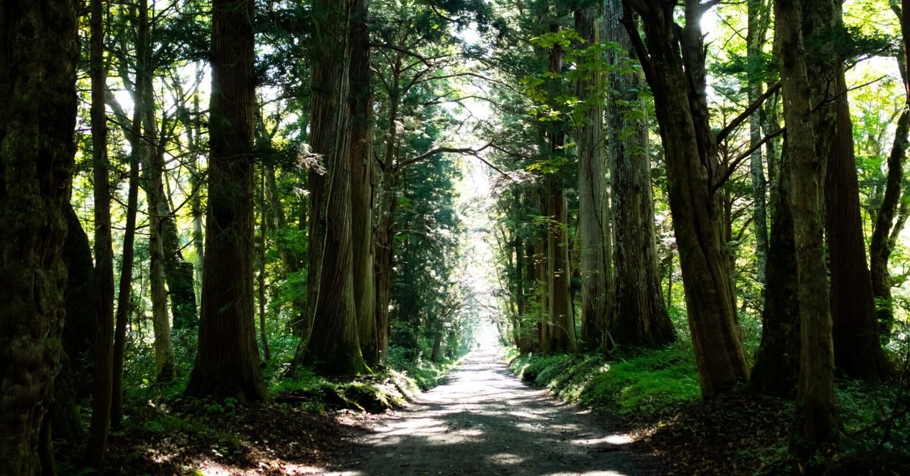 高校生からできる暮らしの保健室③：スタッフになるには（後編）｜西智弘（Tomohiro Nishi）