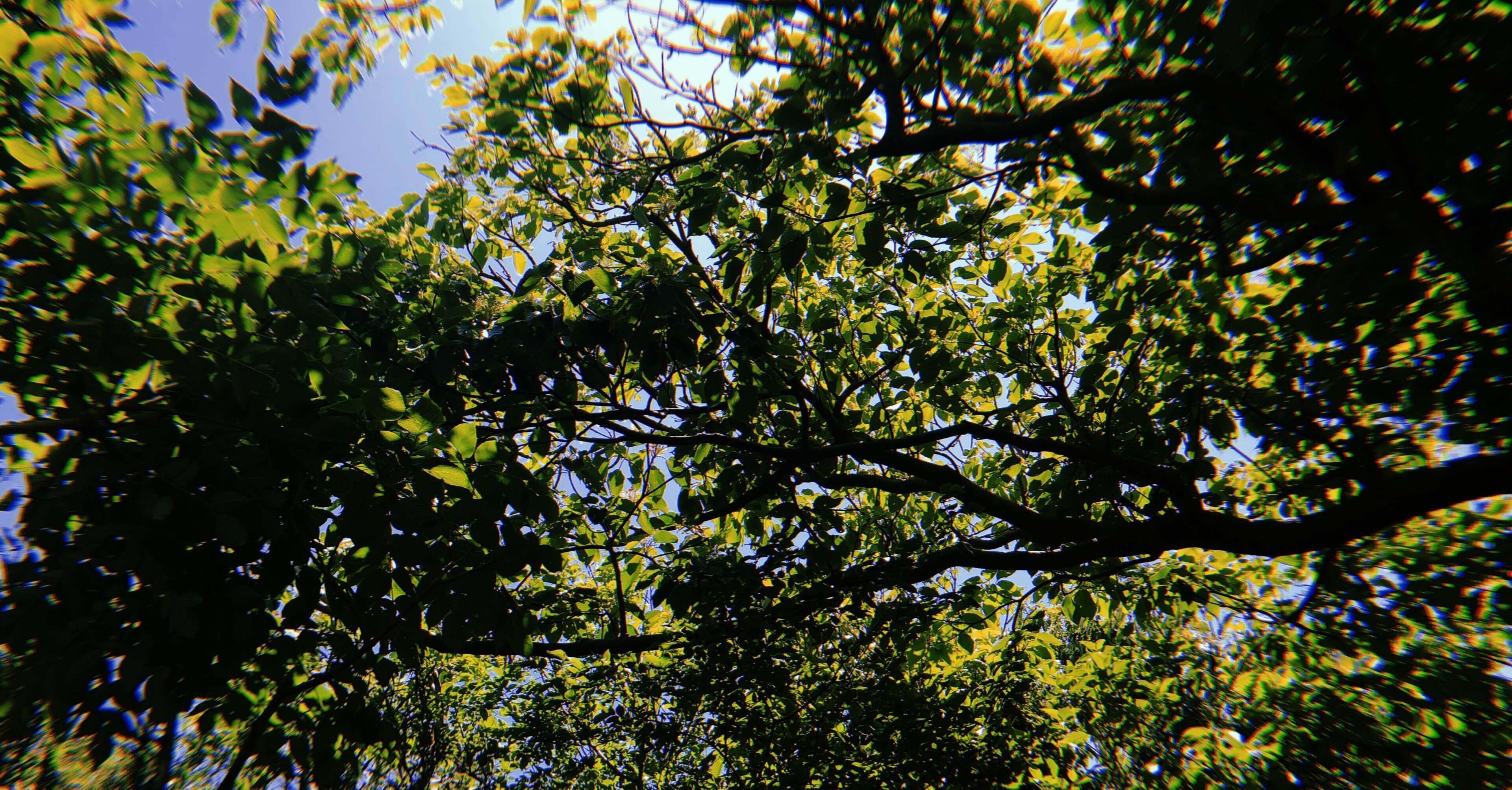 日記 - フォロワーさん｜ちひろ｜note