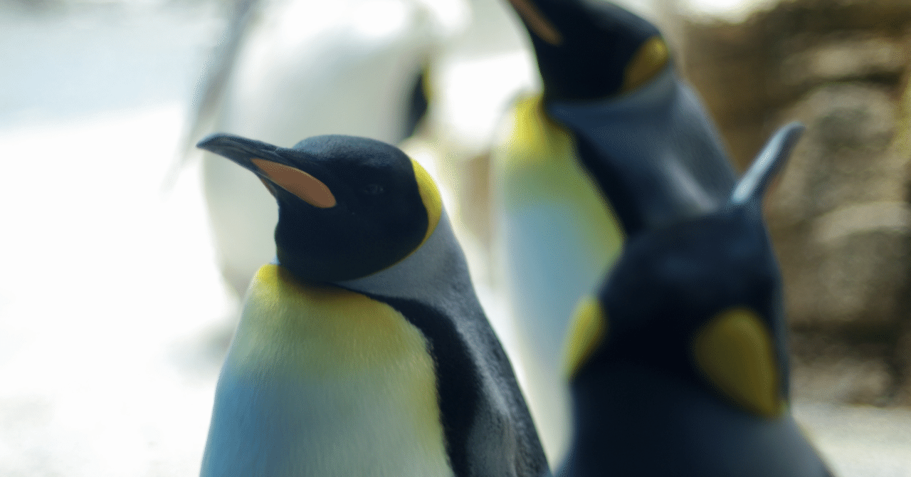 実質、うちらはペンギンってワケ｜やなせ桔梗｜Yanase Kikyo