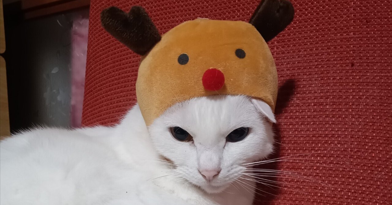 猫の魔法｜ゆいな