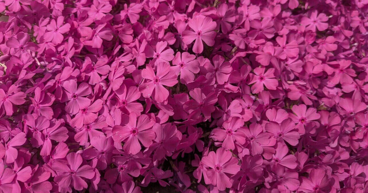 春夏秋冬の恋がテーマ！「VOLTACTION（ヴォルタクション）」 2nd Mini Album『Season of Love?』発売｜チヒロ