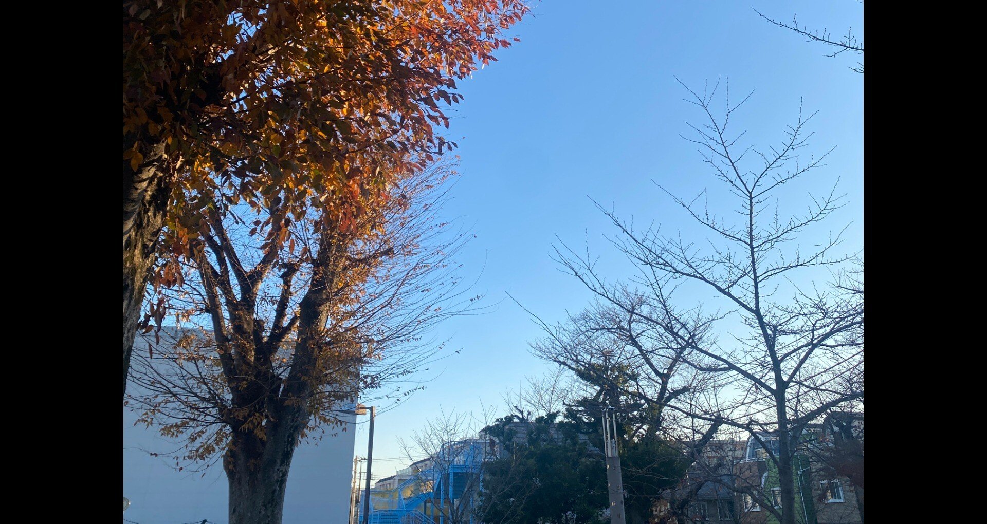 ホッとひと息☕️｜ゆきなノート - 入浴剤｜ボス猫ゆきな｜自分軸を取り戻すサロン🐈｜note