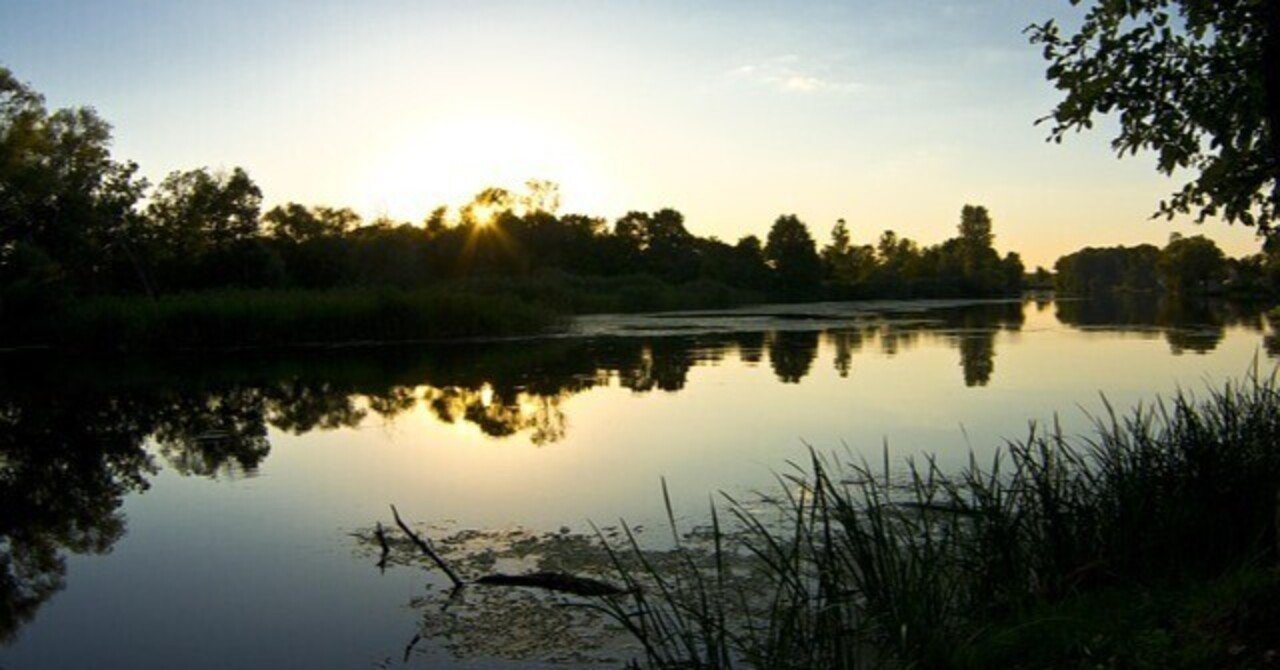 【C#】「プロパティ名」を文字列で指定して値を取り出したい！ リフレクション入門｜morinokabu