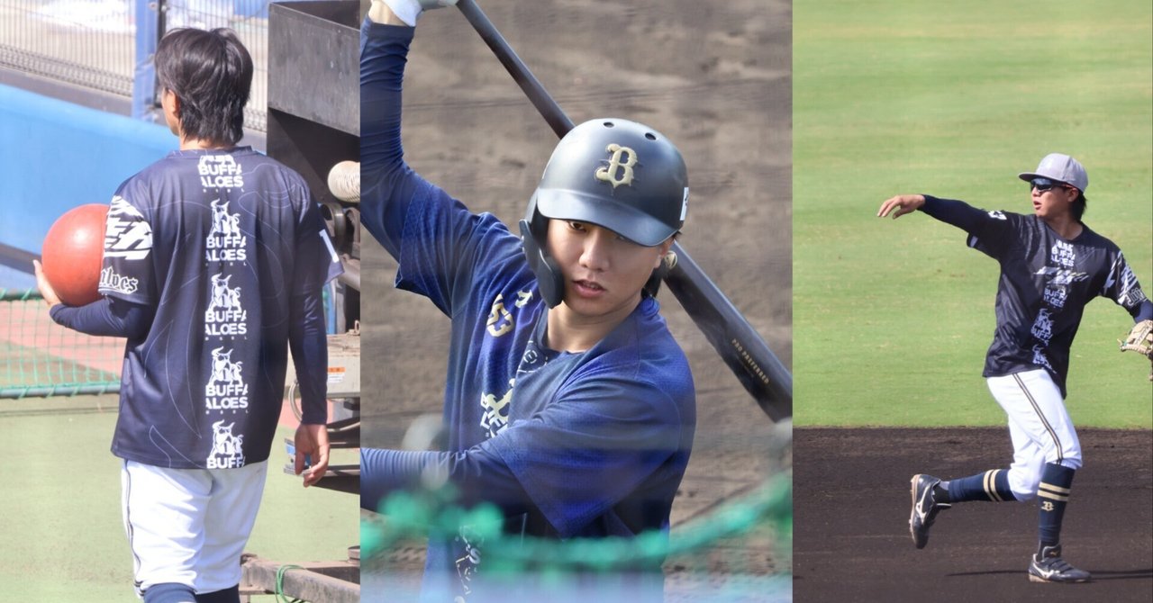 ネット記事まとめ2025｜おたぬ