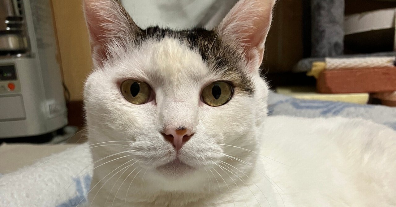 こういう時だからお父さんのお願いもいいんじゃないですか｜Hiroyuki.M