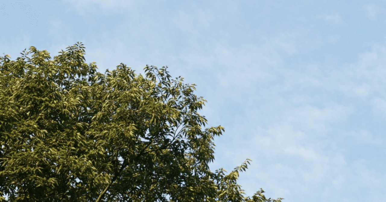 iOSアプリ（WKWebView）で Markdown＋KaTeX 数式表示を試みた記録（未完）｜Tsuyoshi Hayakawa