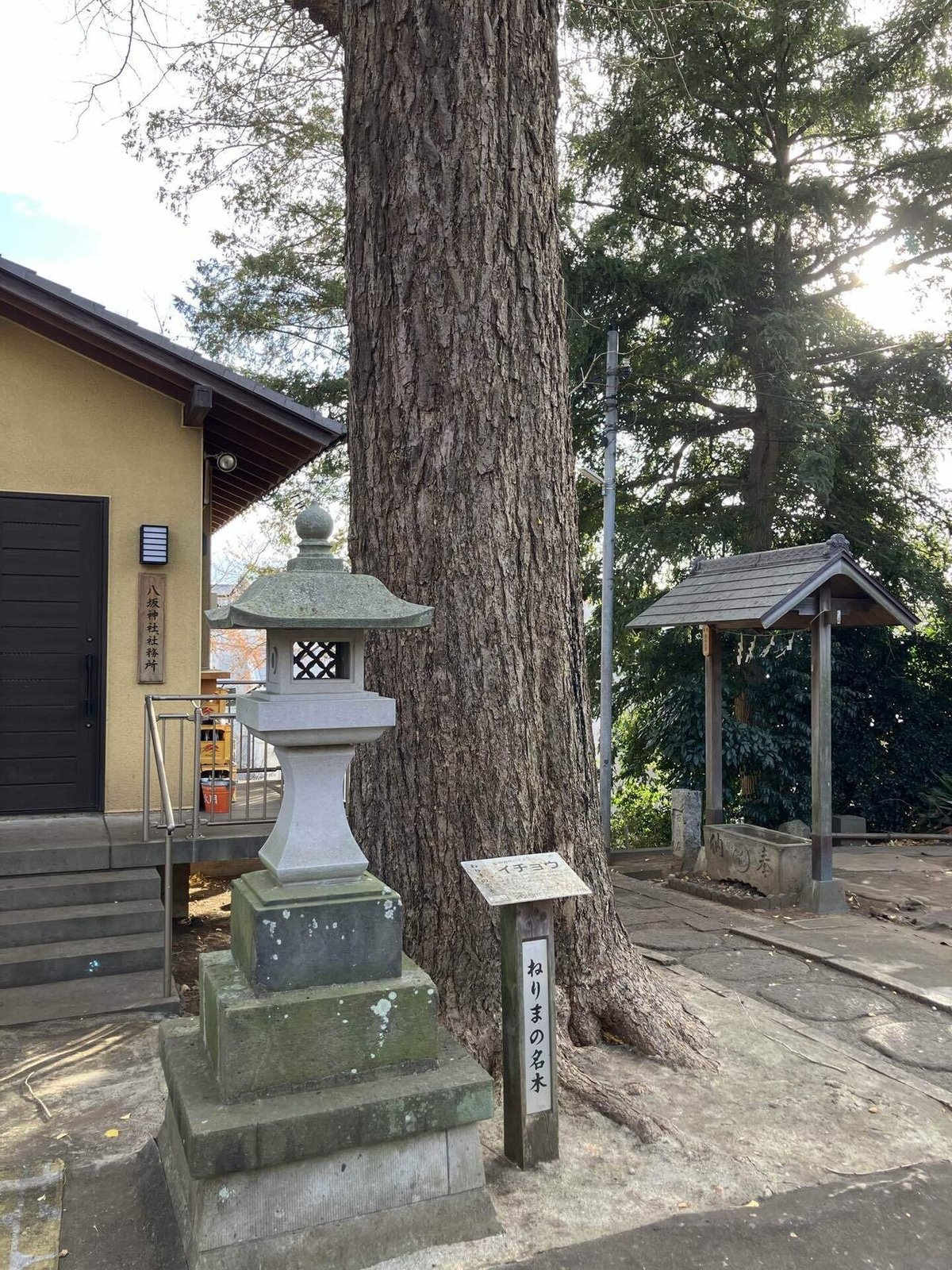 練馬の風景〜八坂神社の銀杏 Scenery of Nerima〜 Ginkgo tree at Yasaka Shrine｜Chubby in ...