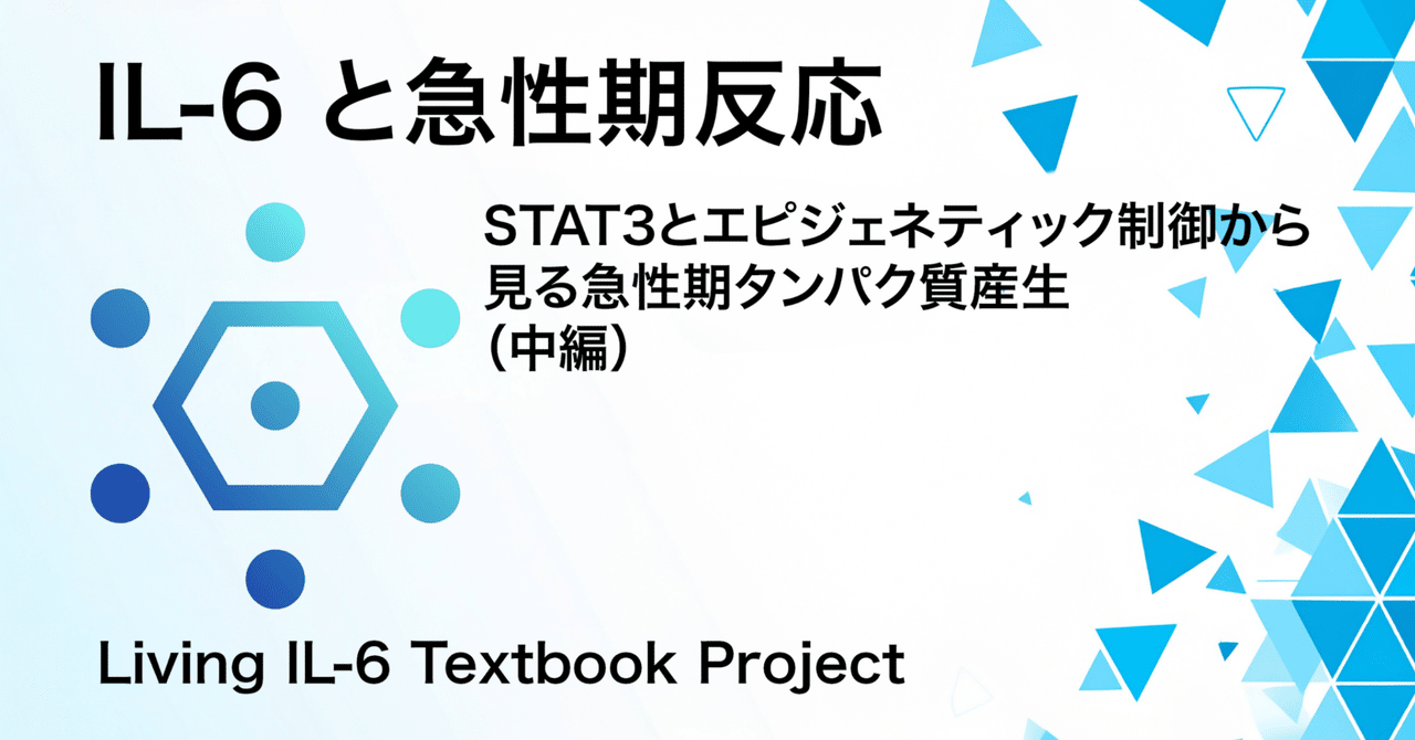 IL-6と急性期反応：STAT3とエピジェネティック制御から見る急性期タンパク質産生（中編）｜賀茂 琳（Kamo Rin）