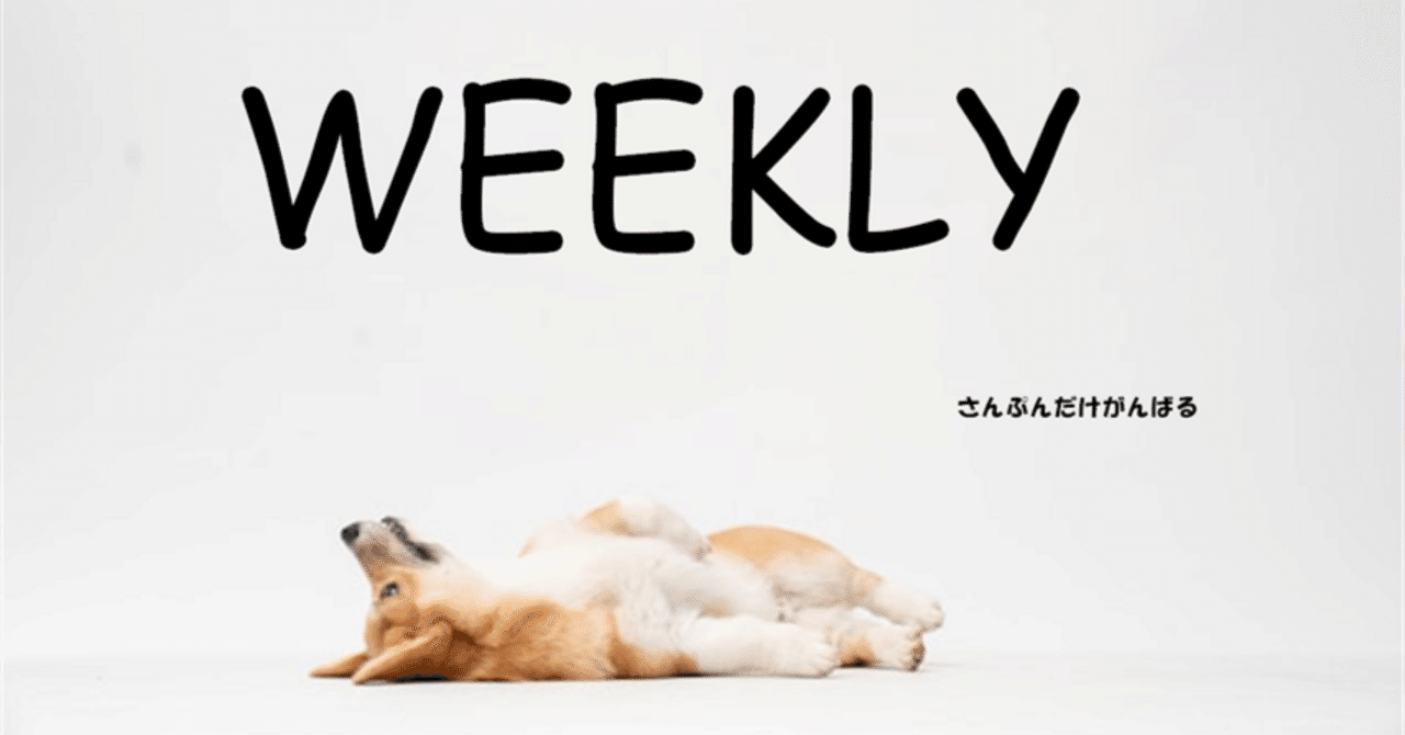 中学生向け3分で終わる5教科クイズ｜CW29｜wata_bow