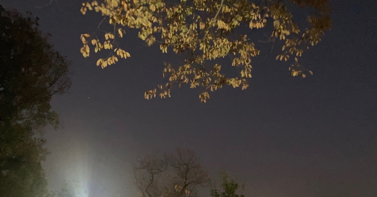 短歌日記2025.12.15｜黒川かおる