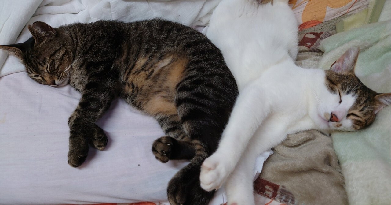 自己紹介｜Introduction｜この note について｜kaz the minotaur