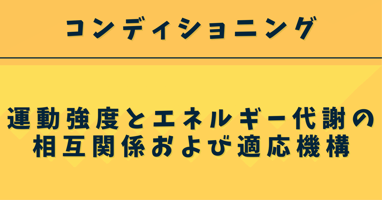 【12/28】運動強度とエネルギー代謝の相互関係および適応機構/コンディショニング｜【AT新カリ対策】アスレティックトレーナー合格研究所/一般 ...