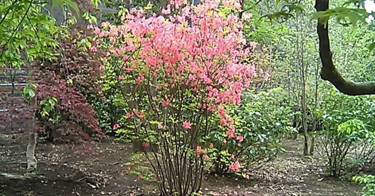 2020年4月23日たぶん晴れ。 かたち と きもち｜moOog yamamOTO｜note