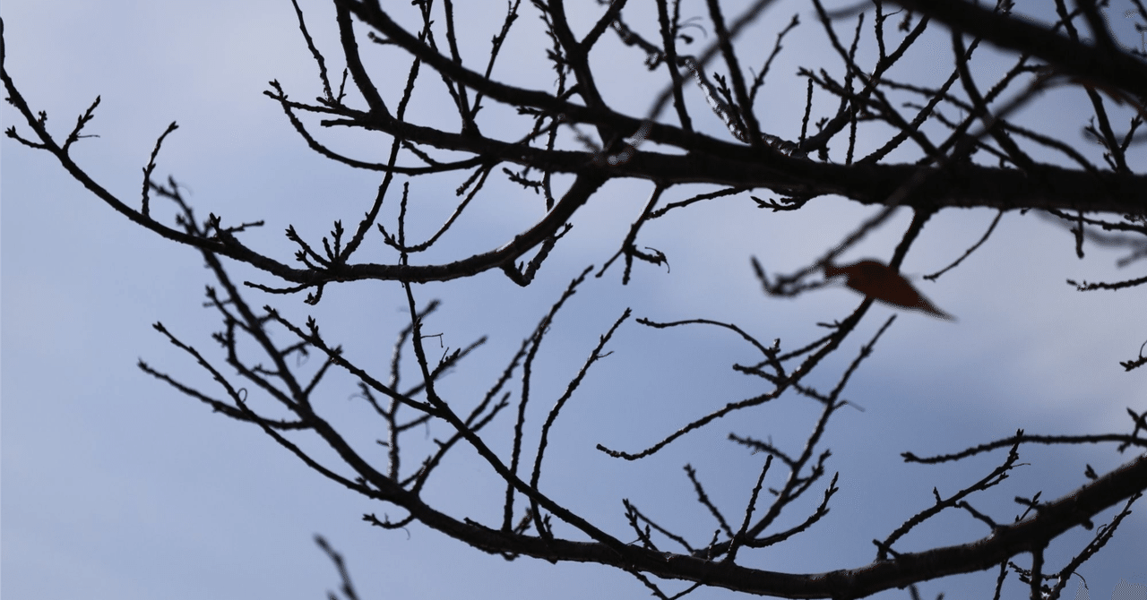 2025/12/16 【3行日記】｜ななば