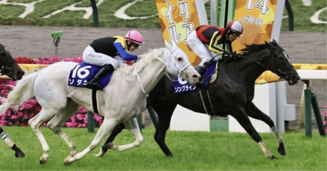 居城ゆうまの3連単24点AI競馬予想 12/17(水)川崎9R｜居城ゆうまのAI競馬予想