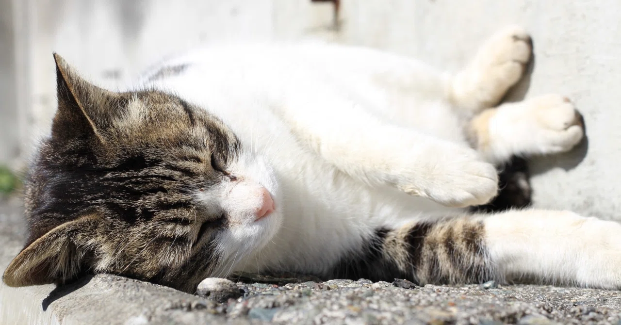 退職日を心で決めたら、働くことのストレスがなくなった件｜KYさん