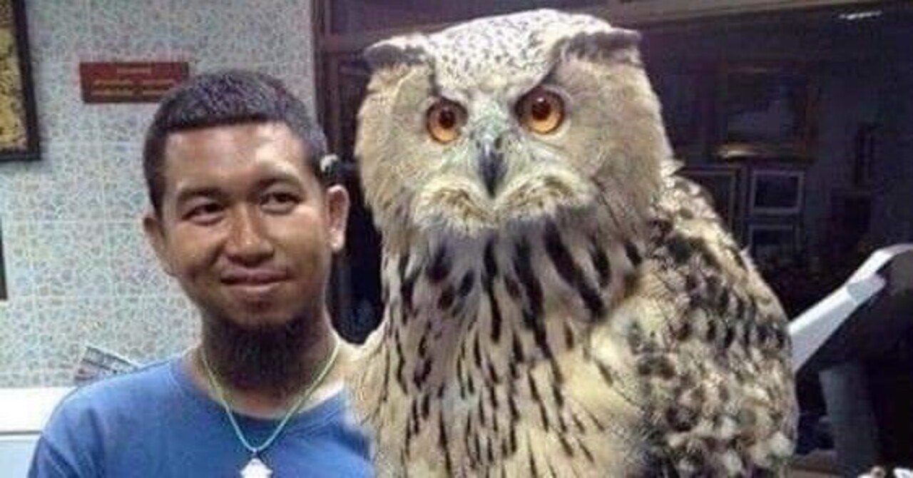 サイコパスに対抗するためには・・・・・｜KATSUKO MOTOSHIMA