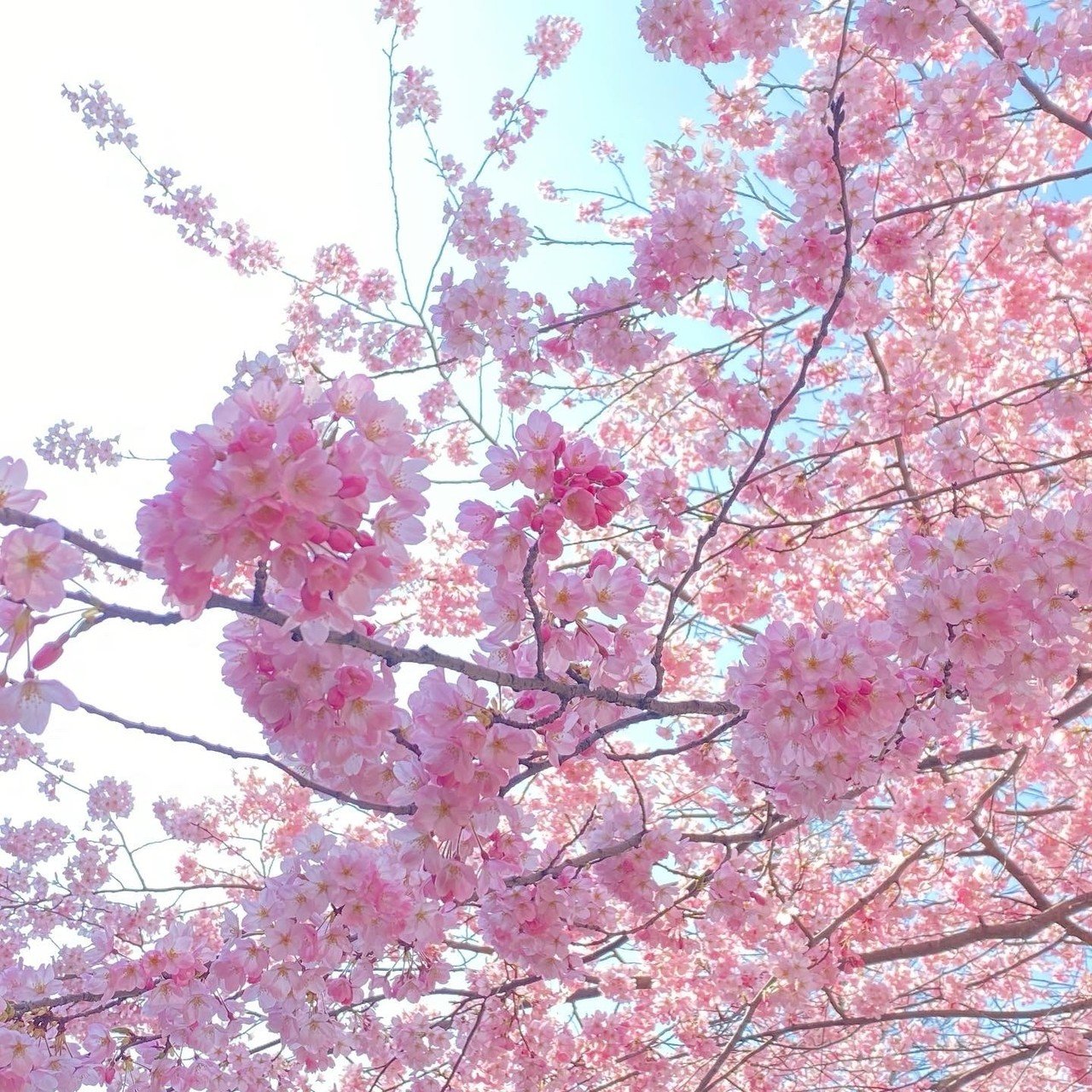 また来年。｜阿邊里恵_rie abe