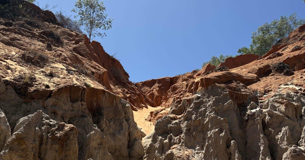 IELTS 8.0 勉強日記【14週目①】 "前前前前前前夜祭"｜Yamato Nah