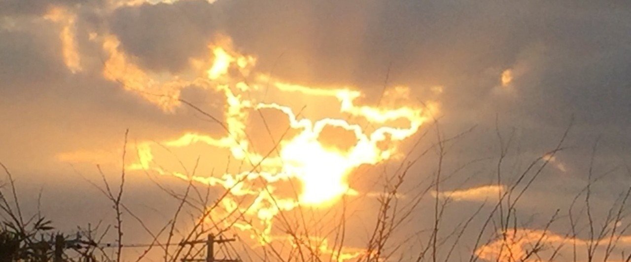 ソーラ Sola｜Sola｜note