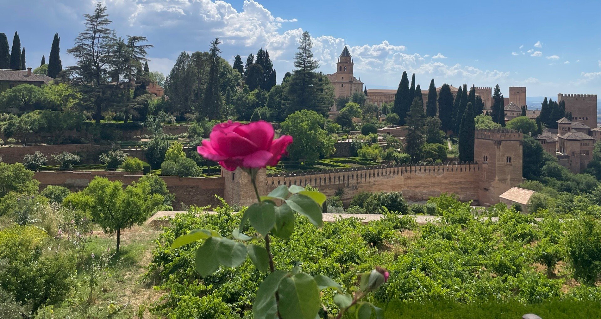 10 DANCE - 映画感想文｜東京うさぎ｜note