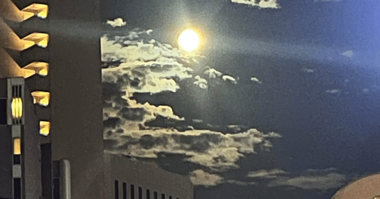 【反省】交換留学の第一志望に落ちた原因の自己分析｜しろいる