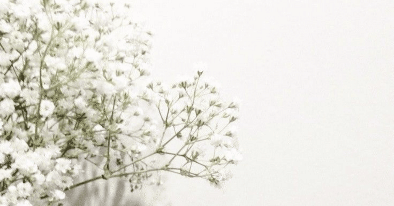 髪育ってなに？｜private salon mio🐰