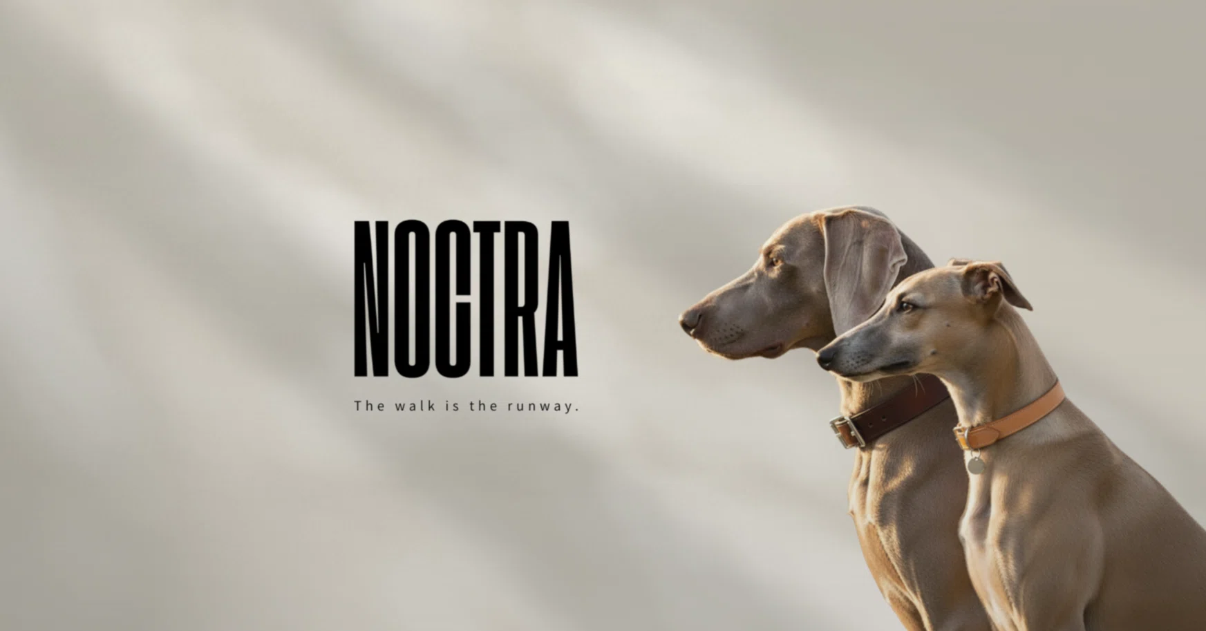 NOCTRA｜note