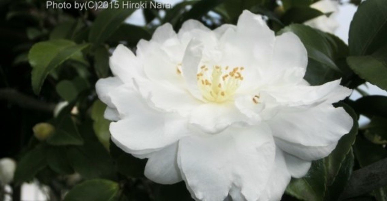 米億万長者の資産、新型コロナ危機下で10％増加＝調査｜hiroki-nara