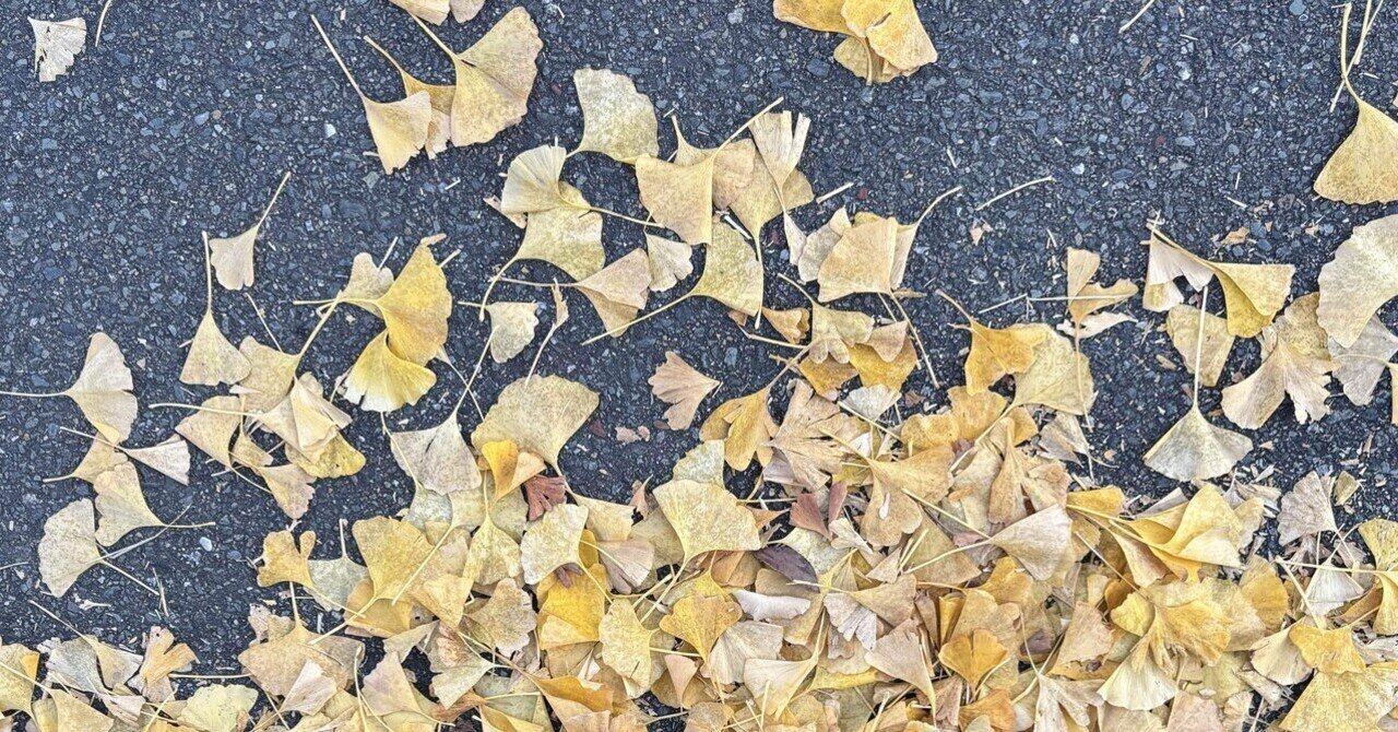 “休む”に対する考えの話｜c____o8