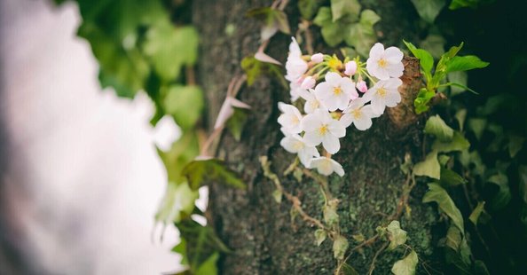 onayami_uketuke｜note