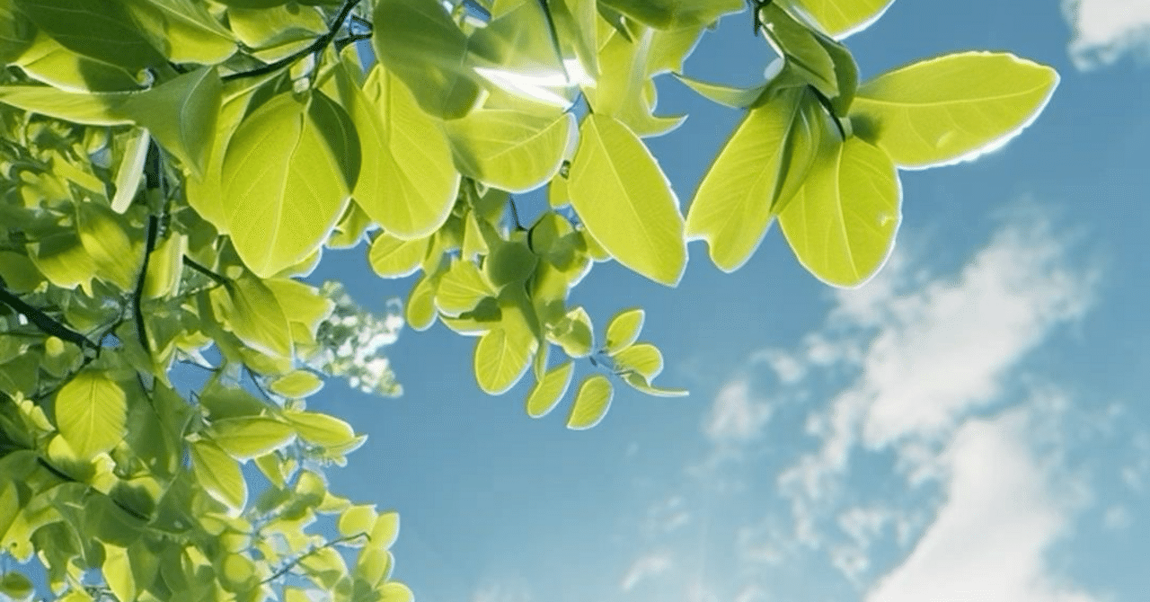 髪育は難しいことはしません｜private salon mio🐰