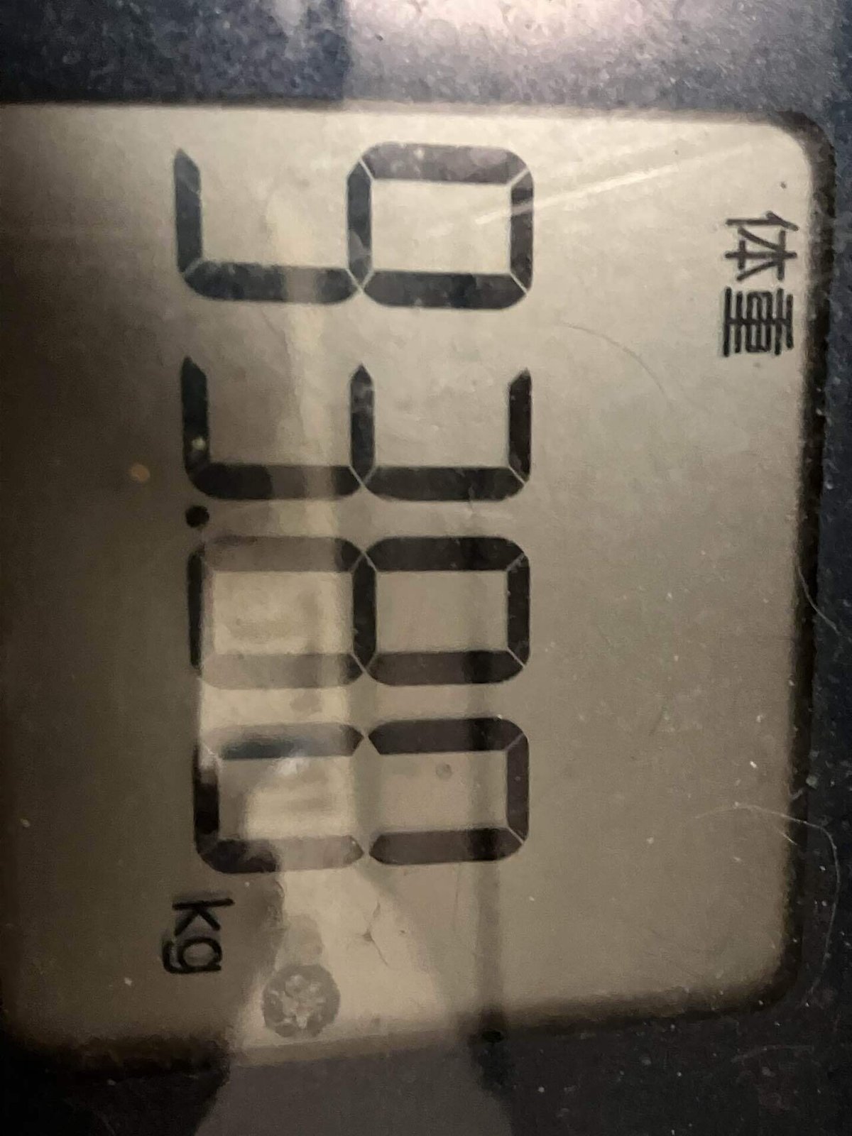 ダイエット記録26週目｜ぶろ公