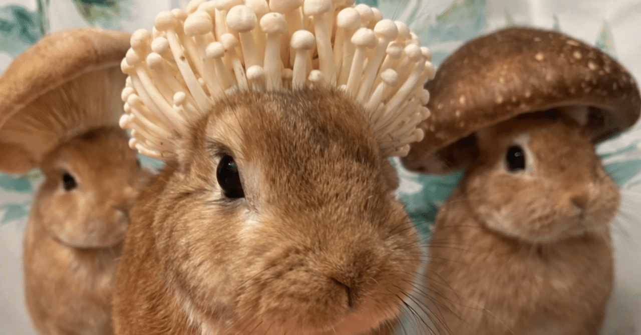 チャットGTPの解像度と指示だしスキル｜madam_crescent