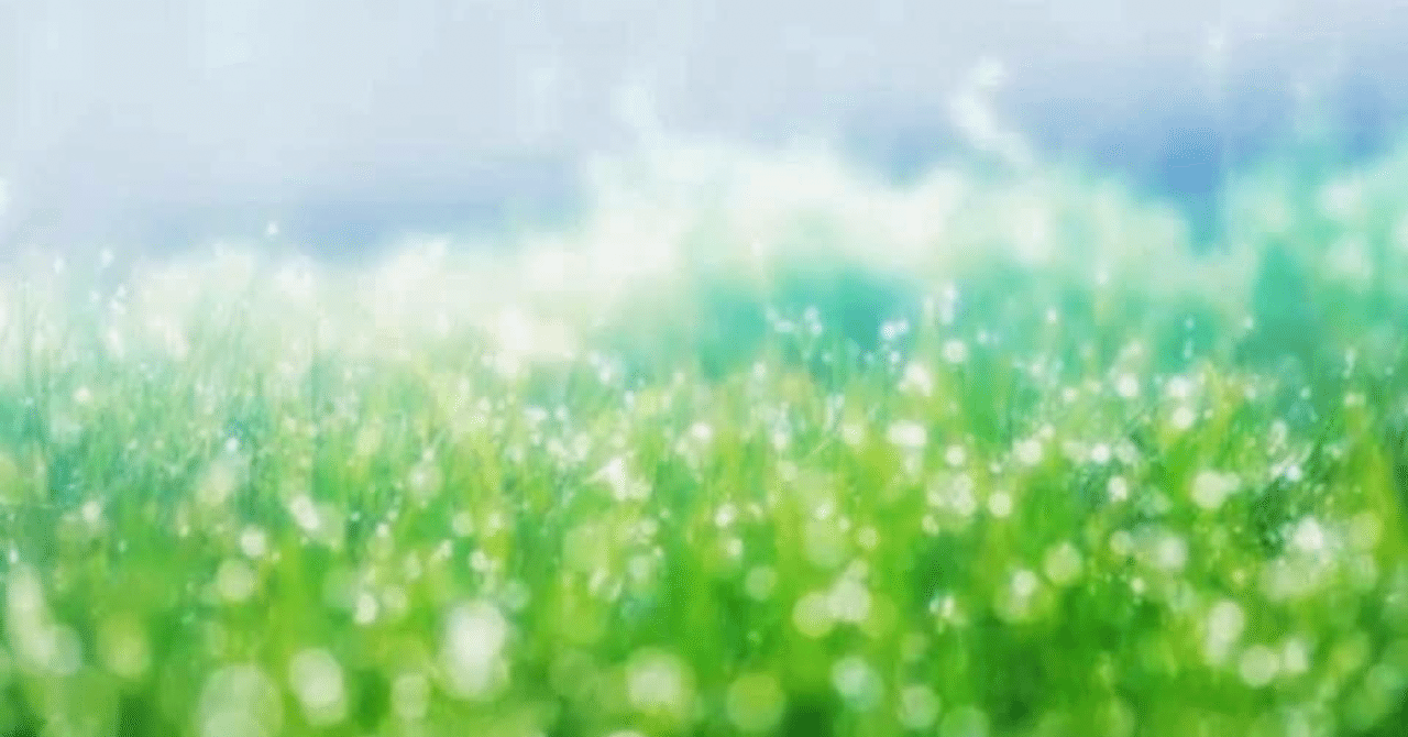 私は、わたし｜麻宙-Mahiro-