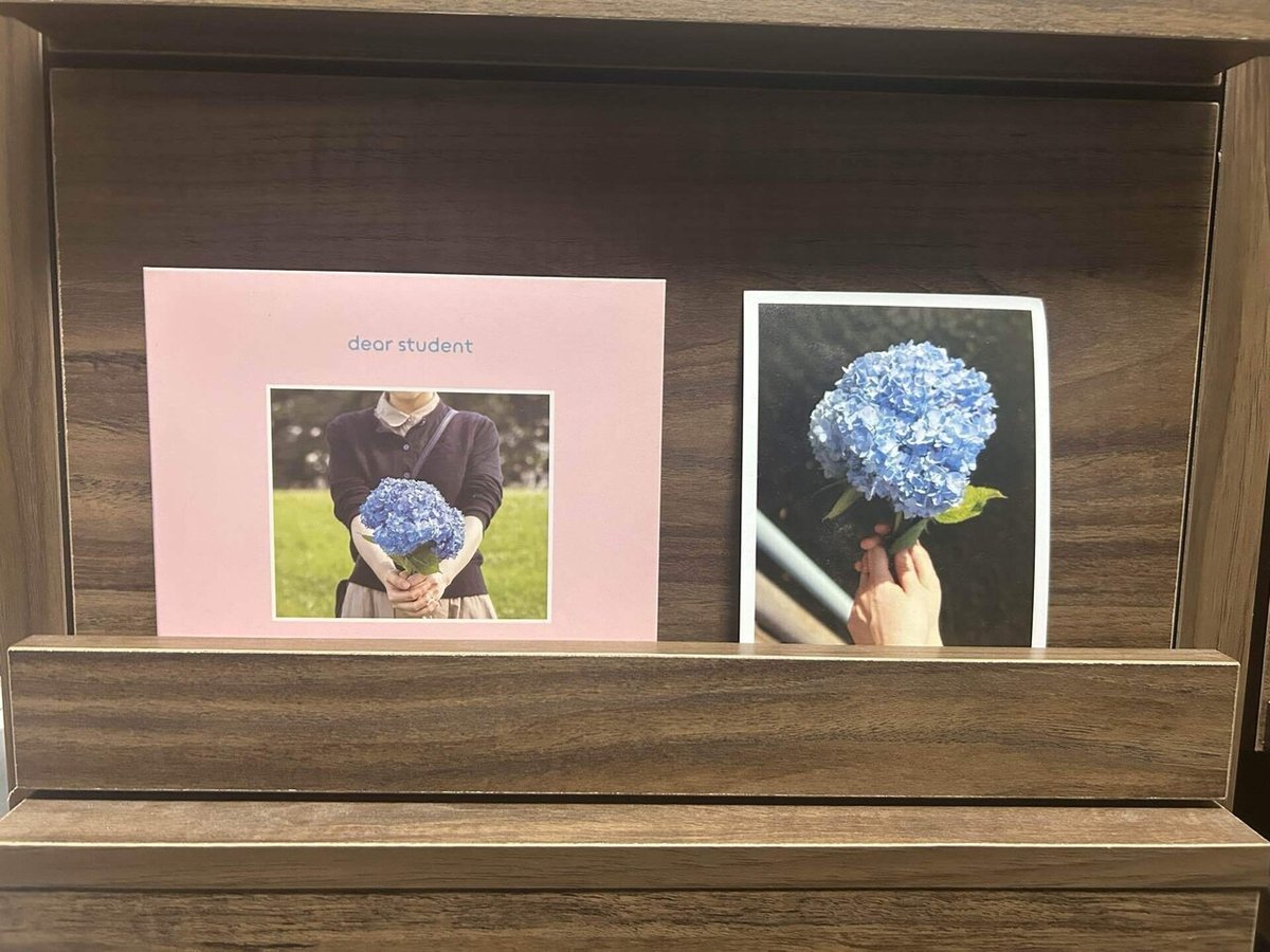 dear student｜takumikadowaki