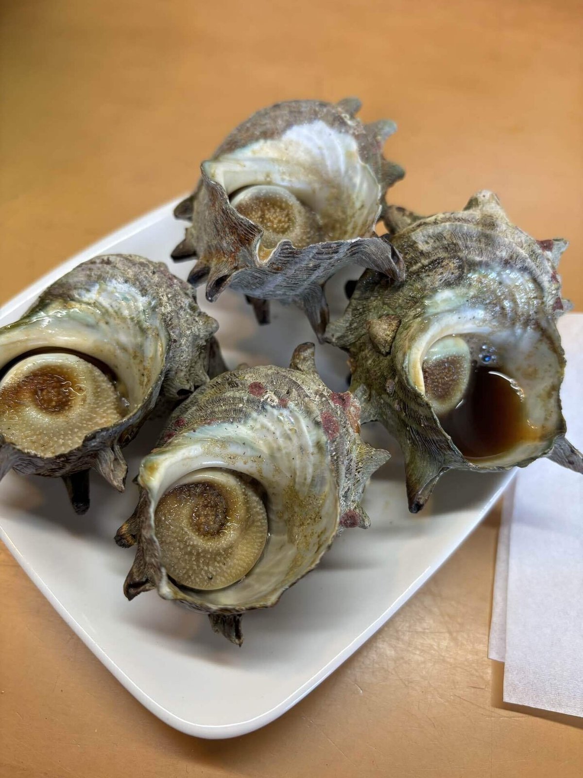 2025年振り返り｜オグリ