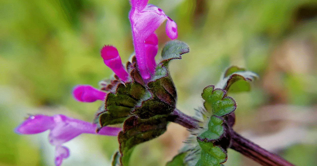 ぼうに、あたる｜工作室