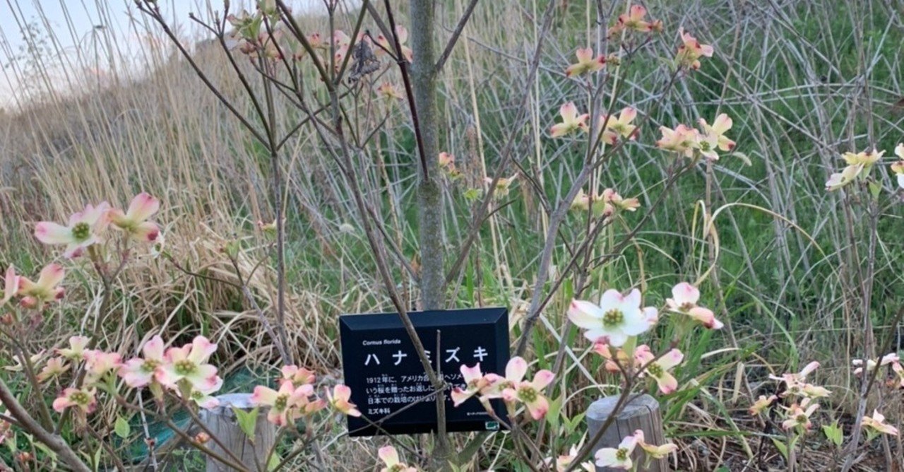 初めまして。｜yuri｜note