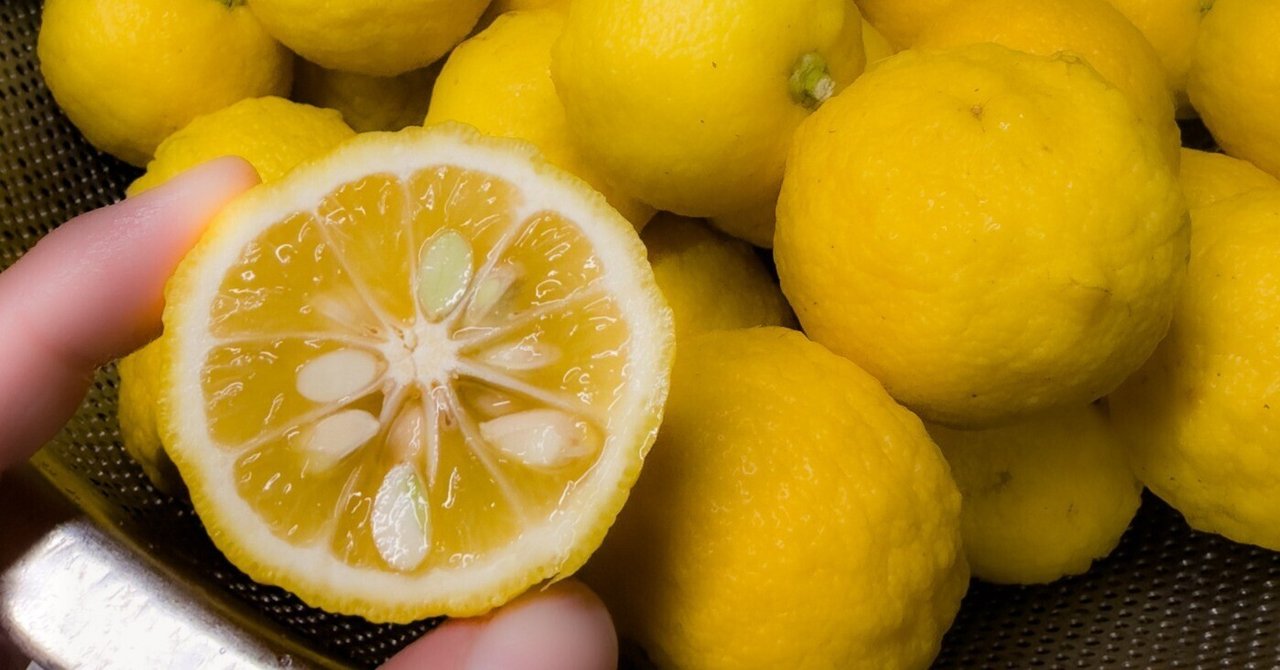 「成功した」と思った瞬間が、いちばん危ない｜とりニの女将さん