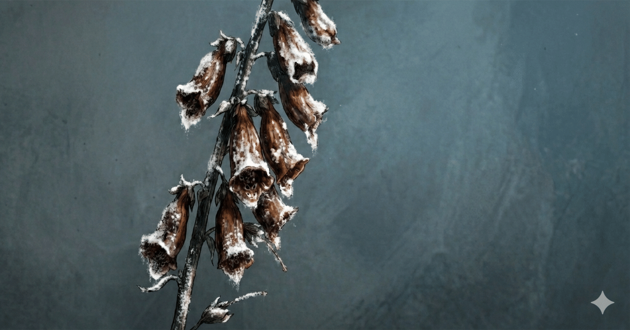 オトナドブキュアの冬～Dobcal Girl 80 yeas after～ #パルプアドベントカレンダー2025 【飛び入り】｜海月里ほとり