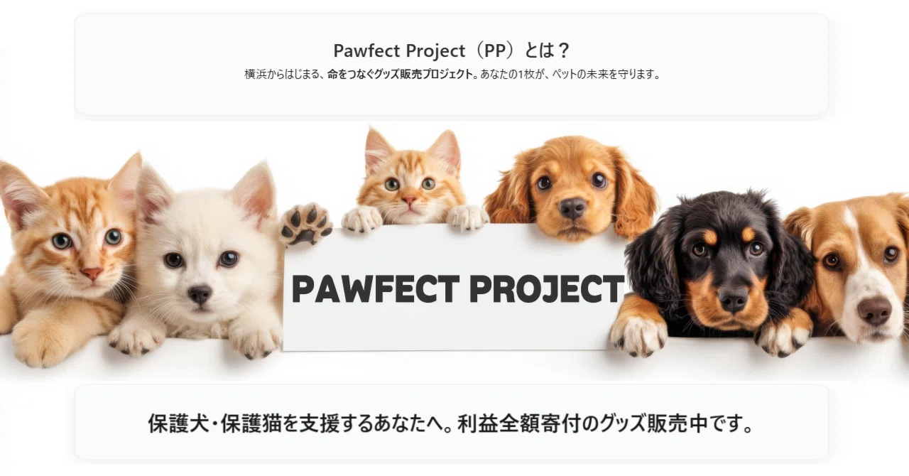 Pawfect Project - はじめての2か月を振り返って｜Pawfect Project 🐾