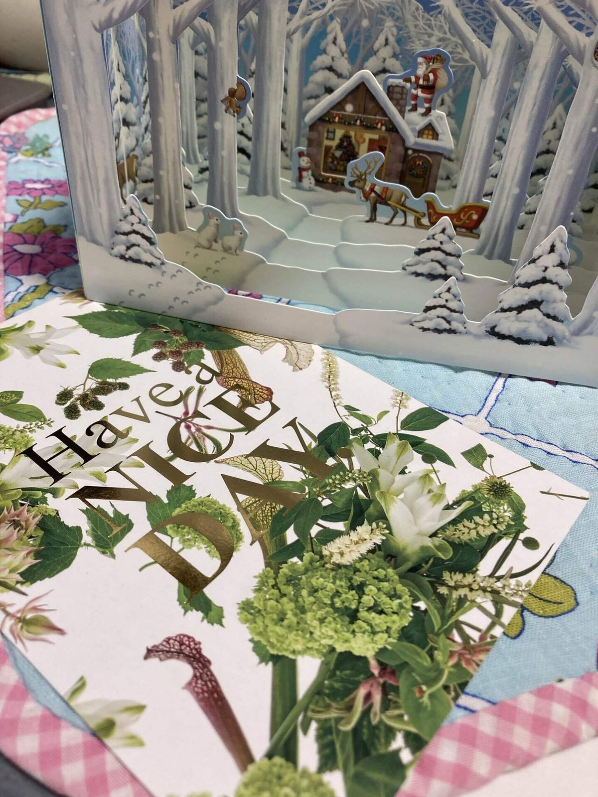 一年ぶりに皆さんに会えました｜さちんぬ