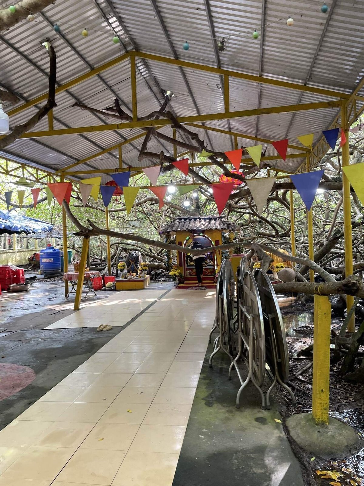 カントー ムアスアン自然保護区探索ツアーに参加する｜Phan Xi Pang