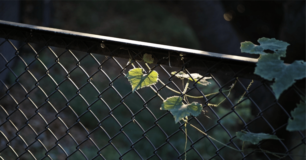 自称ENTJの皆様へ｜真朱常緋🍁