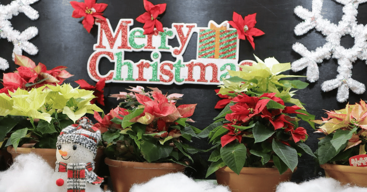 メリークリスマス🎁🎅｜冴えない父ちゃん