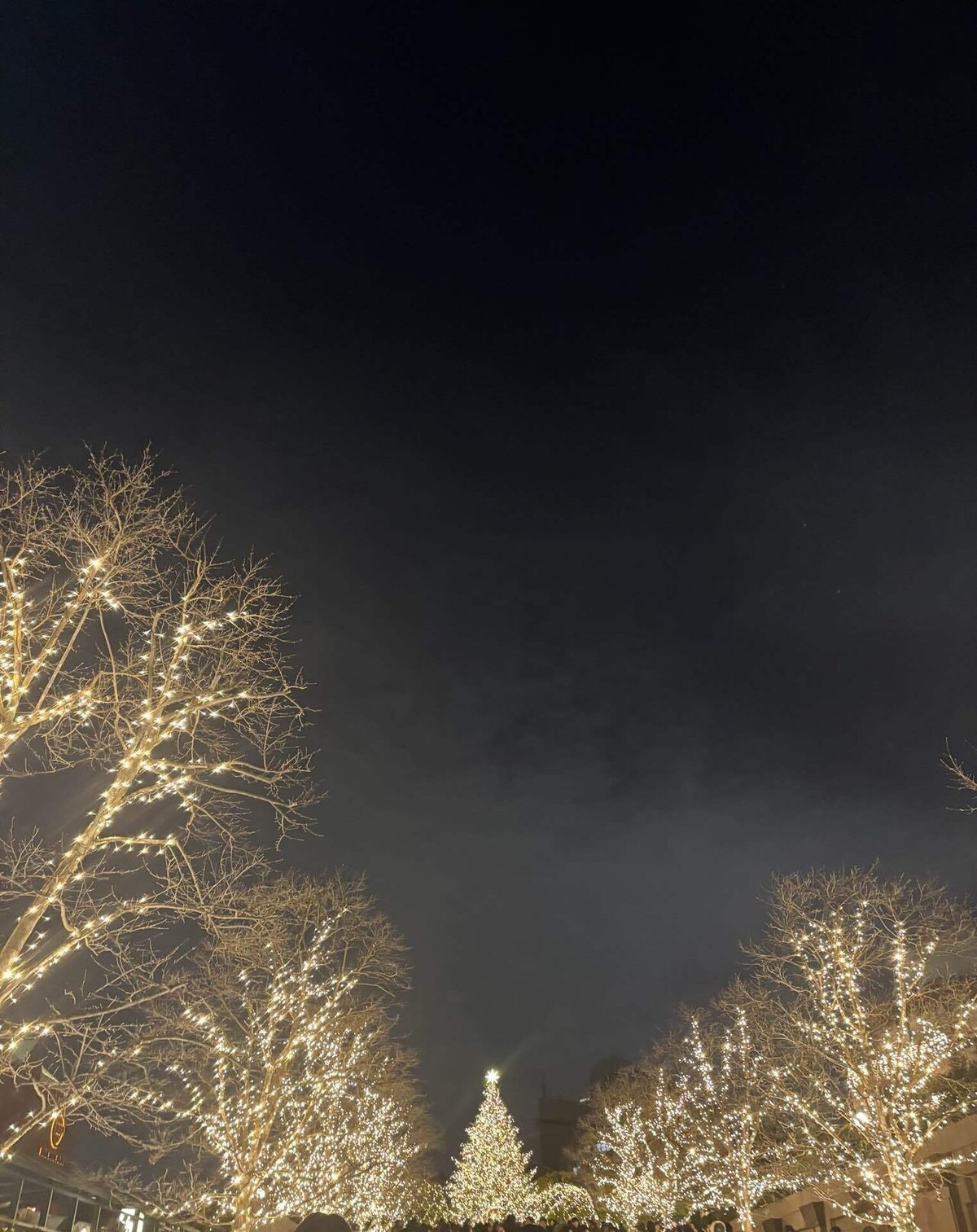 佐野元春 & THE COYOTE BAND ロッキン・クリスマス2025｜bluebeat