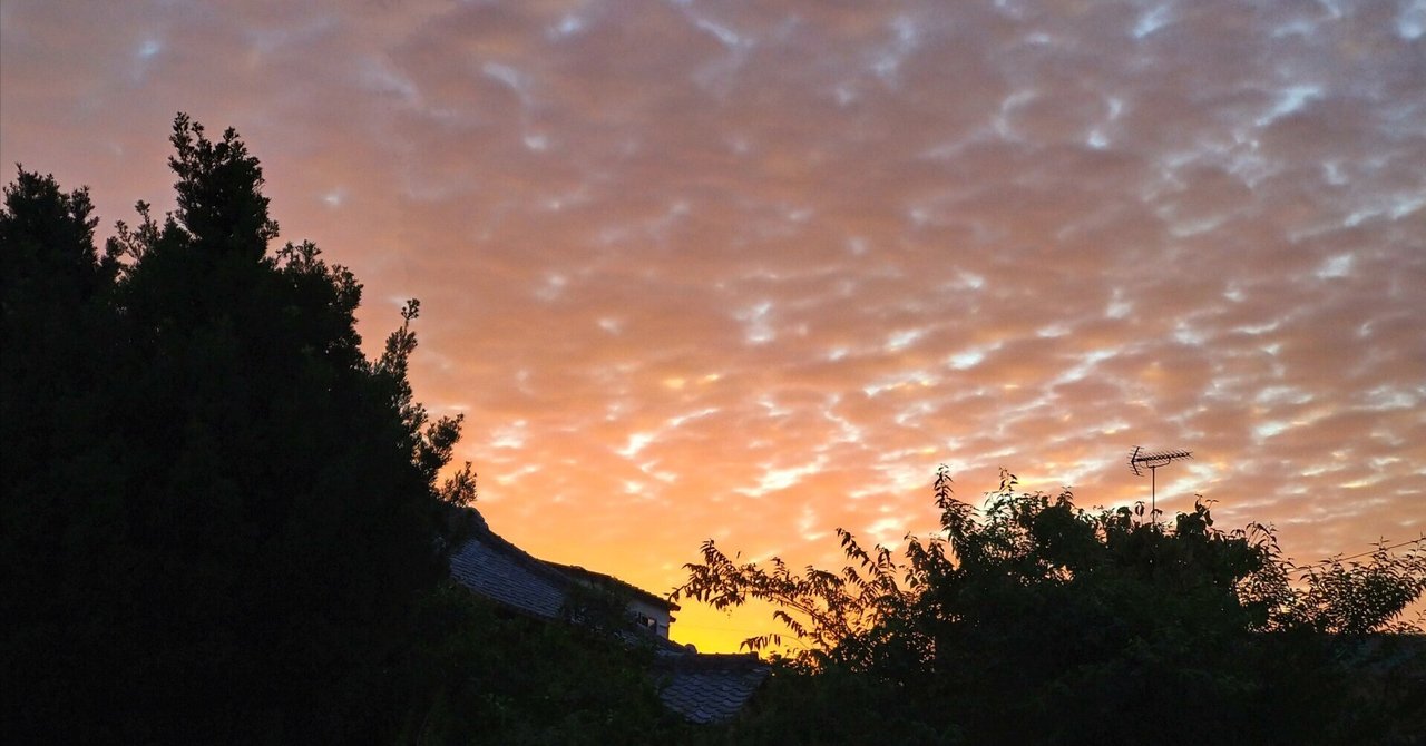 3行日記 実家に帰って｜はづままのさじかげん