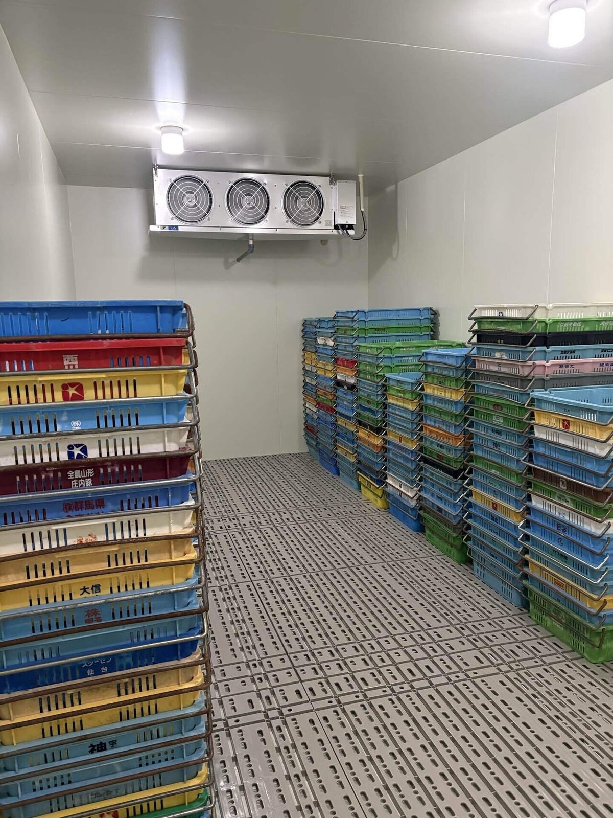 2025.12.24｜石川ひろと