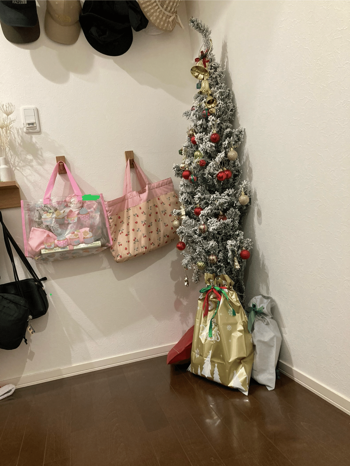 今年のサンタ業にチャッピーが大活躍したおはなし｜おさかなちゃん